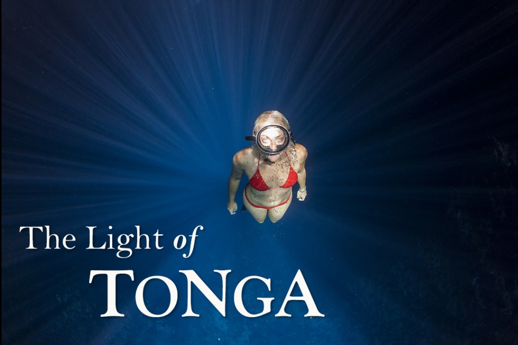 Swimming with Gentle Giants Tonga Photo Series | Swimming with Gentle ...